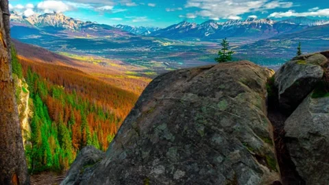 Colored Back Drop Stock Videos – Royalty-Free HD & 4K Videos | Pond5