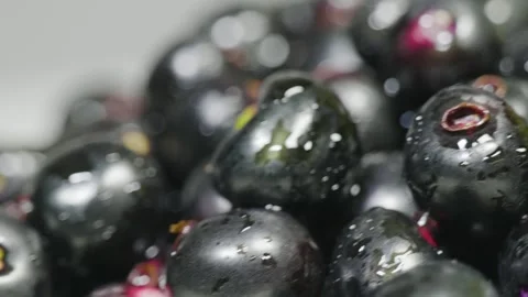 Short Reveal Stock Videos – Royalty-Free HD & 4K Videos | Pond5