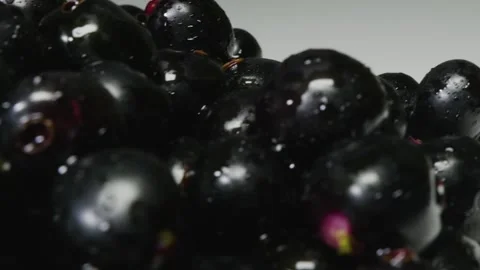 Short Reveal Stock Videos – Royalty-Free HD & 4K Videos | Pond5