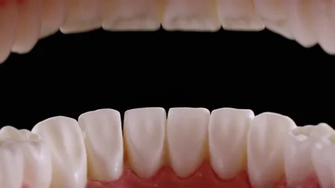 Jaws opening inside view flying out | Stock Video | Pond5