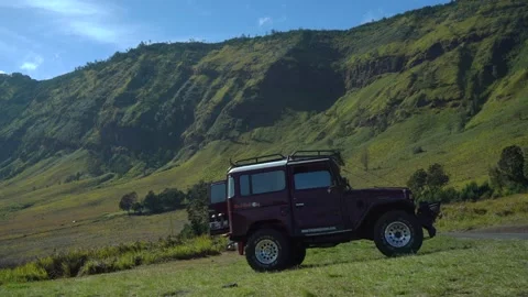 Savannah Wallpaper Stock Videos – Royalty-Free HD & 4K Videos | Pond5