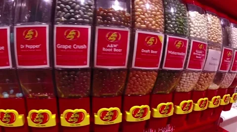 All About Storea Stock Videos – Royalty-Free HD & 4K Videos