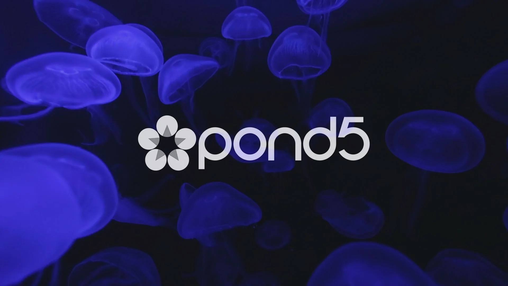 Jellyfish Blue Neon In