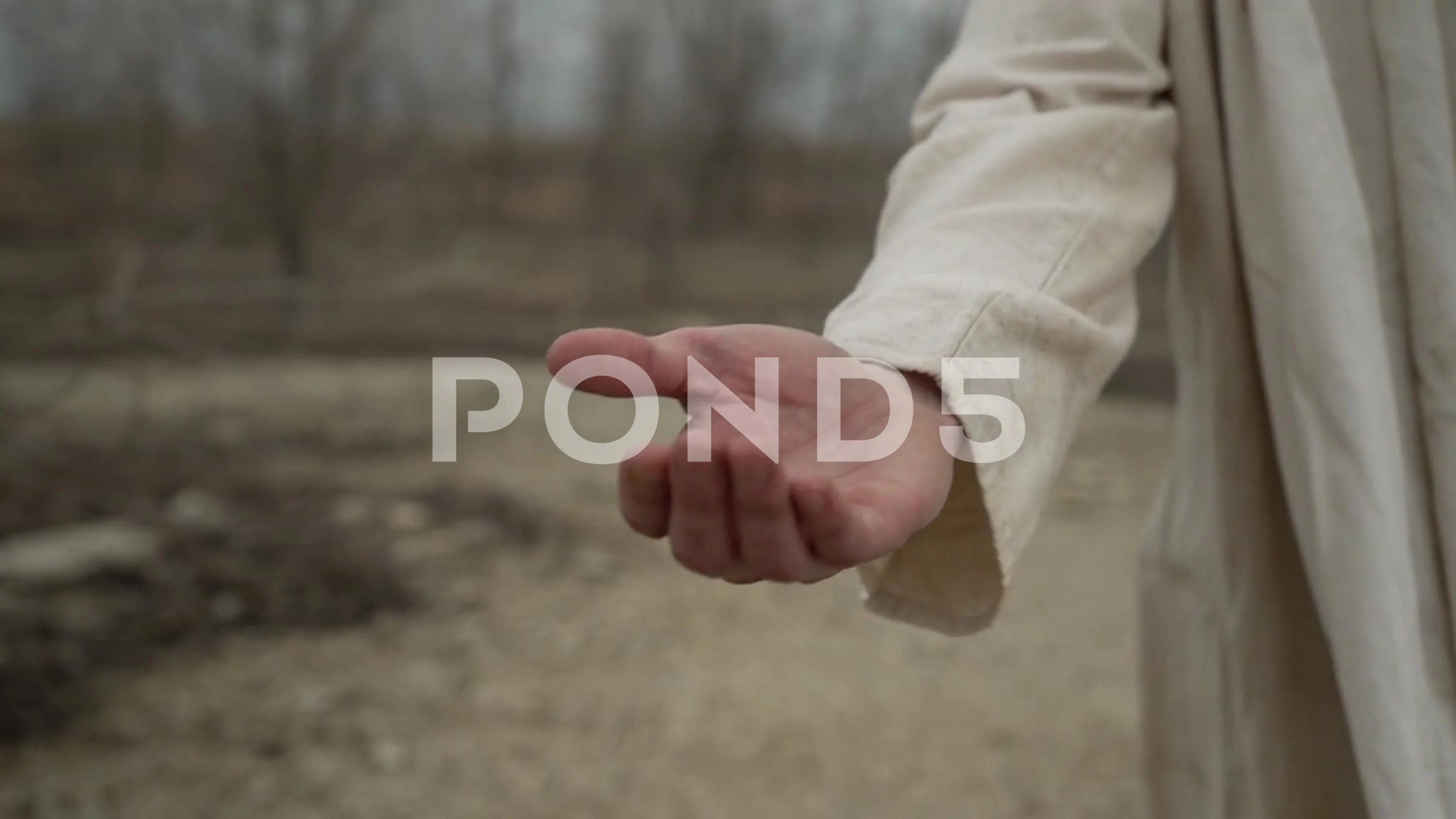 Hands Of Jesus Christ