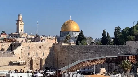 Rule Scroller Stock Videos – Royalty-Free HD & 4K Videos