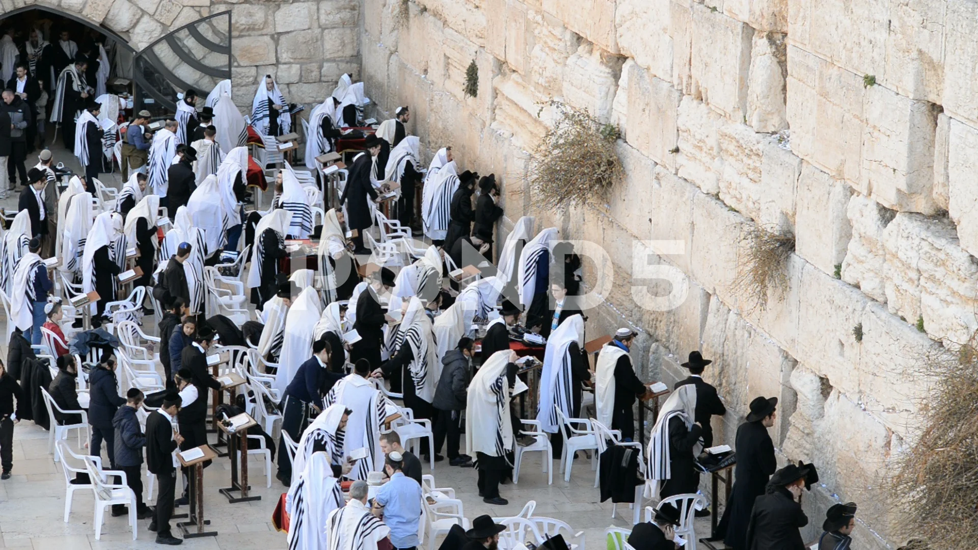 Jewish People Wallpaper