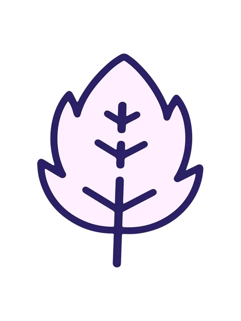 Jiggle Fun Stock Videos – Royalty-Free HD & 4K Videos