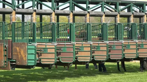 Horse Race Start Stock Footage ~ Royalty Free Stock Videos | Pond5