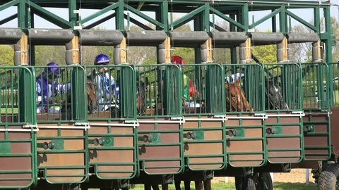 Horse Racing Stock Video Footage | Royalty Free Horse Racing Videos | Pond5