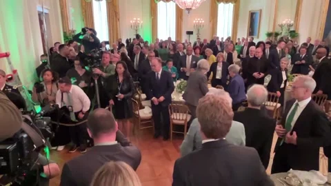 Leo Day Stock Videos – Royalty-Free HD & 4K Videos