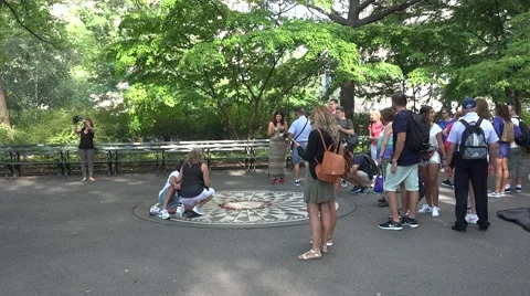 Photos Imagine Stock Videos – Royalty-Free HD & 4K Videos | Pond5