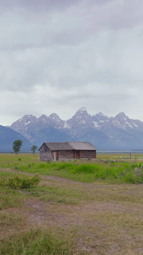 John Id Stock Videos – Royalty-Free HD & 4K Videos