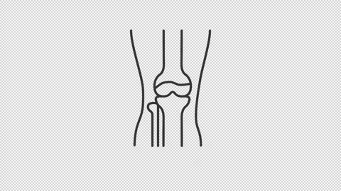 D: Joint App Stock Videos – Royalty-Free HD & 4K Videos