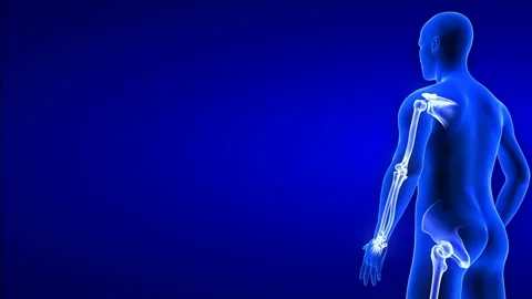 Joint Pain animation from side view - cl... | Stock Video | Pond5