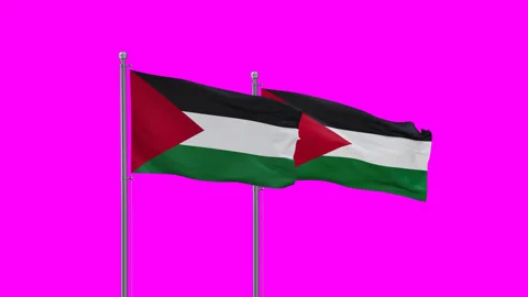 Jordan and Palestine, Gaza Strip flag | Stock Video | Pond5