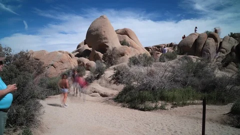 Skulls Climbing Stock Videos – Royalty-Free HD & 4K Videos | Pond5