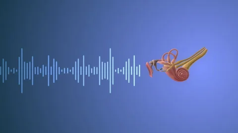 Sound Of Journey Stock Footage ~ Royalty Free Stock Videos | Pond5