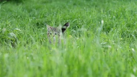 Second Chance City Stock Videos – Royalty-Free HD & 4K Videos | Pond5