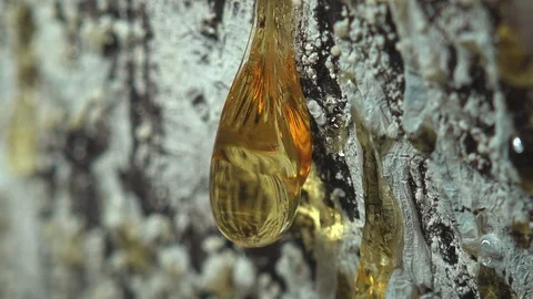 Resin Stock Video Footage | Royalty Free Resin Videos | Pond5