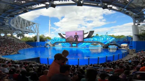 Jumbo Tron Stock Footage ~ Royalty Free Stock Videos | Pond5