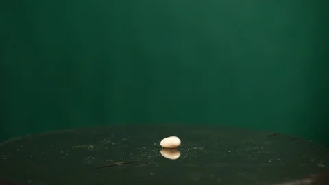 Jumping bean On Moving Subwoofer on gree... | Stock Video | Pond5