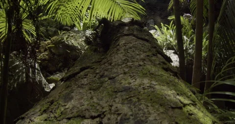 Stock Footage by Living_Art | Official Pond5 Storefront