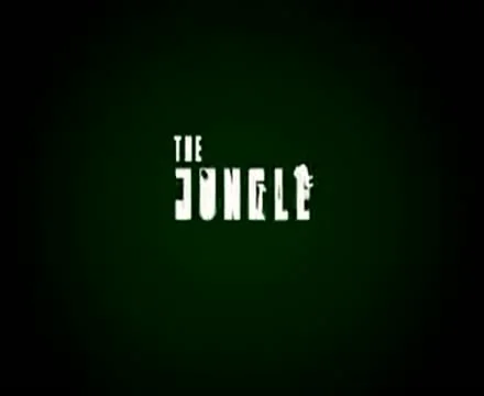 "The Jungle" Logo Intro ~ After Effects Template #14152530