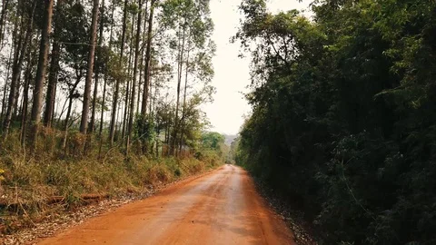 Jungle Blue Film Stock Videos – Royalty-Free HD & 4K Videos | Page 3