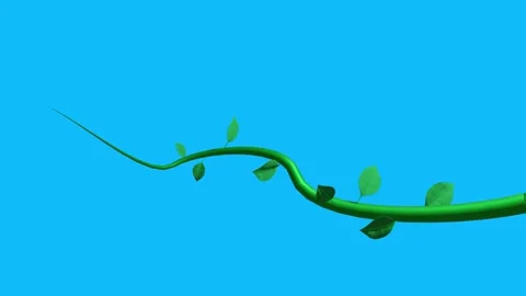 Jungle vines animation growing elements ... | Stock Video | Pond5