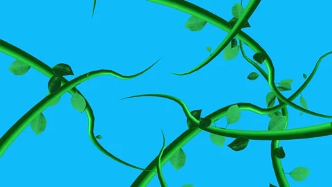 Jungle vines animation growing elements ... | Stock Video | Pond5