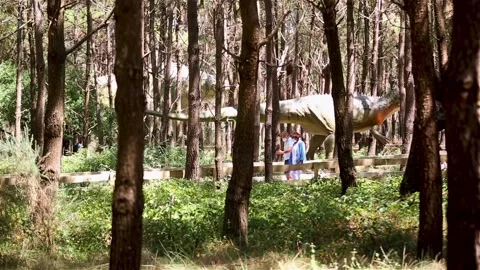 Jurassic Park Extinction Stock Videos – Royalty-Free HD & 4K Videos | Pond5