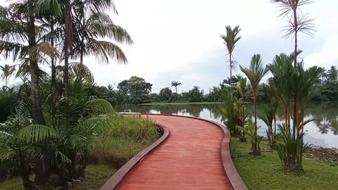 Jurong Lake Rasau Board Walk Singapore | Stock Video | Pond5