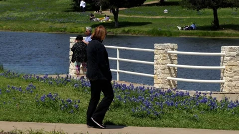 Memories Sample Stock Videos – Royalty-Free HD & 4K Videos