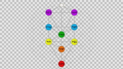 Spectrum Channels Stock Videos – Royalty-Free HD & 4K Videos | Pond5