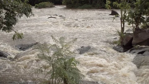 Kaituma River Water Flows Pan | Stock Video | Pond5