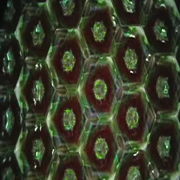 Video Free* Stock Videos – Royalty-Free HD & 4K Videos