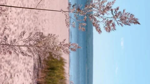 The Kama River is part of the Volga-Kama... | Stock Video | Pond5