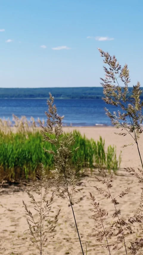 The Kama River is part of the Volga-Kama... | Stock Video | Pond5