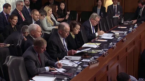 Kamala Harris breaks barriers as America... | Stock Video | Pond5