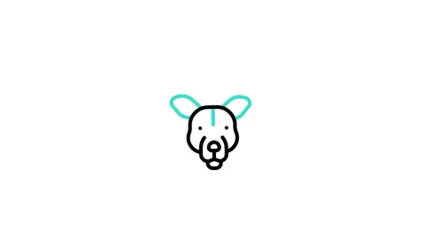 Animated Kangaroo Stock Videos – Royalty-Free HD & 4K Videos | Pond5