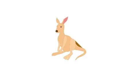 Wallaby Animation Stock Footage ~ Royalty Free Stock Videos | Pond5
