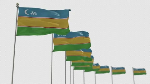 Karakalpak Stan Row Of Flags Animation I... | Stock Video | Pond5