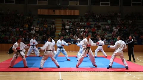 Karate Squad Stock Videos – Royalty-Free HD & 4K Videos