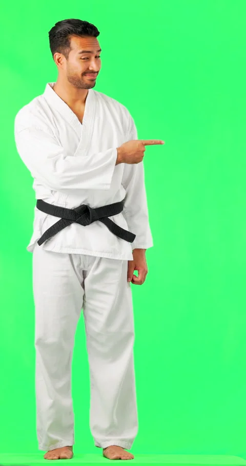 Karate, face and man pointing to green s... | Stock Video | Pond5