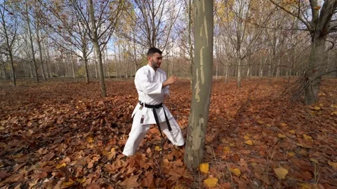 Belt Beating Stock Footage ~ Royalty Free Stock Videos | Pond5