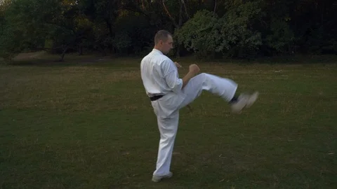 Shadow Karate Stock Video Footage | Royalty Free Shadow Karate Videos ...