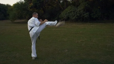 Shadow Karate Stock Video Footage | Royalty Free Shadow Karate Videos ...