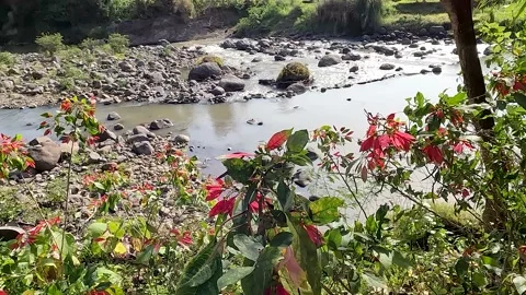 Banks Le Stock Videos – Royalty-Free HD & 4K Videos