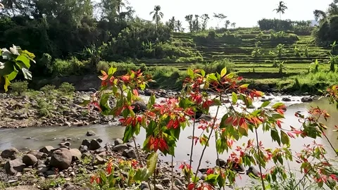 Banks Le Stock Videos – Royalty-Free HD & 4K Videos