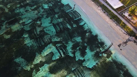 Kelp Farm - Aerial view of Seaweed Farm ... | Stock Video | Pond5